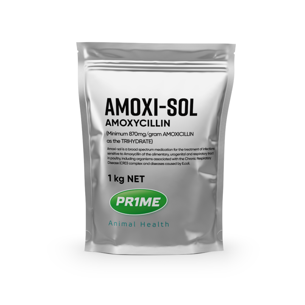 Amoxi-sol – Prime