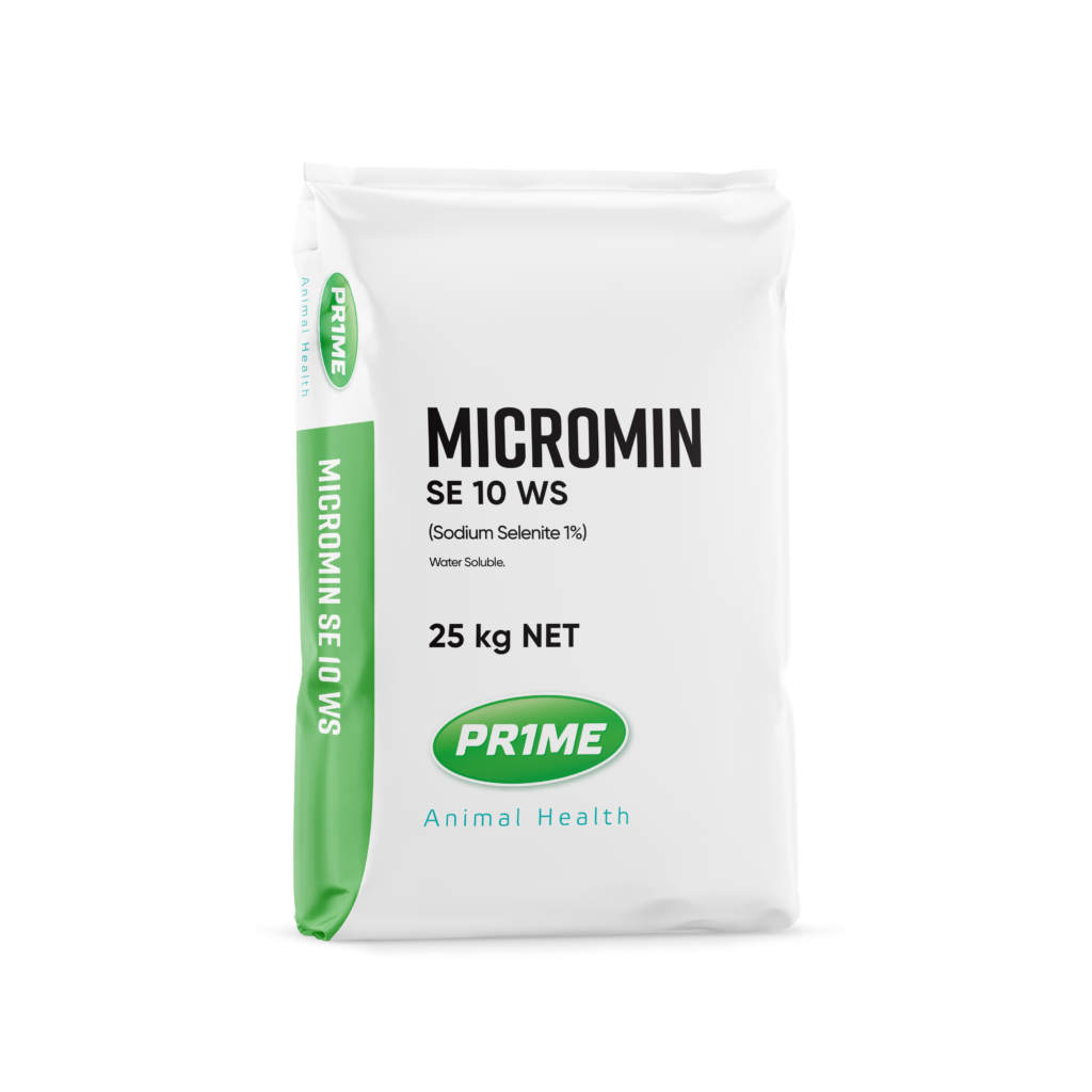 Micromin Se10 WS – Prime